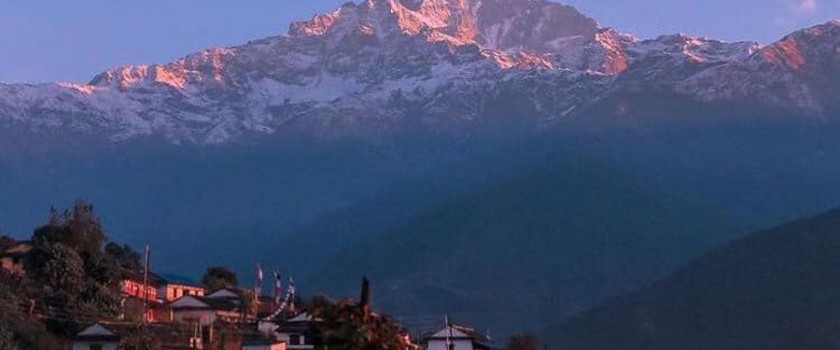 Lwang Village Homestay Tour from Pokhara with Tea Garden, Lawang ...