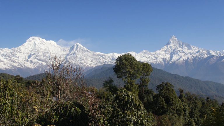 Australian Base Camp Trek Nepal, Cost, Itinerary, Pokhara to Australian ...