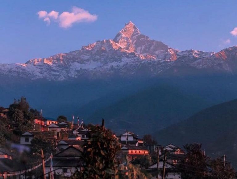 Lwang Village Homestay Tour from Pokhara with Tea Garden, Lawang ...